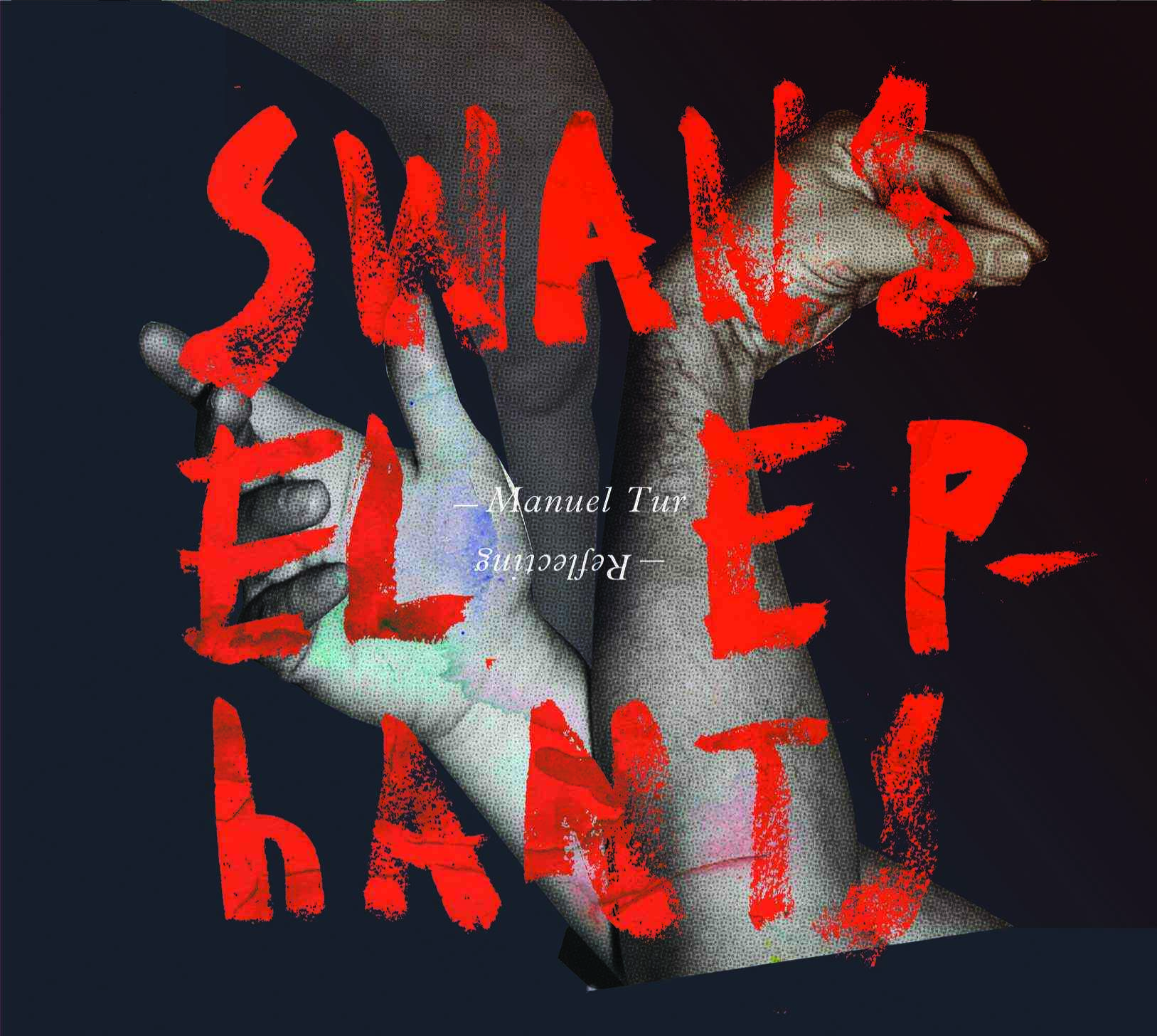 Manuel Tur - Swans Reflecting Elephants (Freerange)