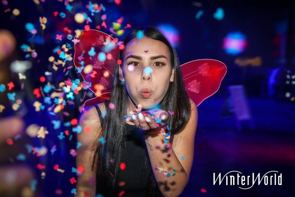 WinterWorld 2019 - Line-up & Infos sind da!