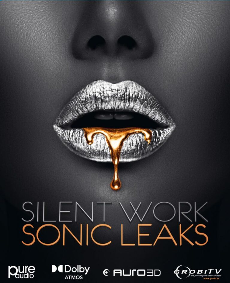 Silent Work – Sonic Leaks (Silent Work)