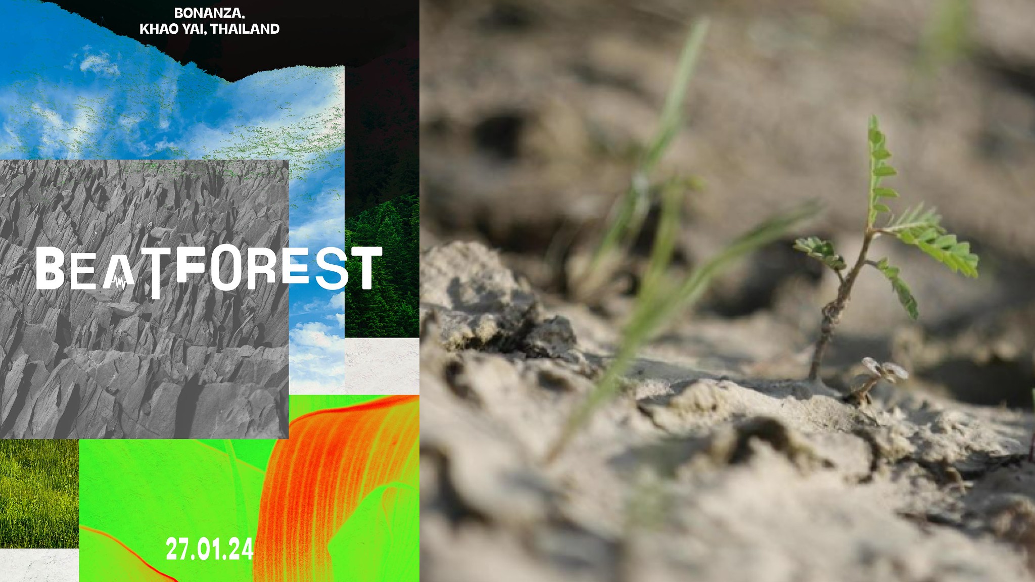 Beats & Bäume pflanzen in Bonanza: Neues Festival lockt mit Musik und ...